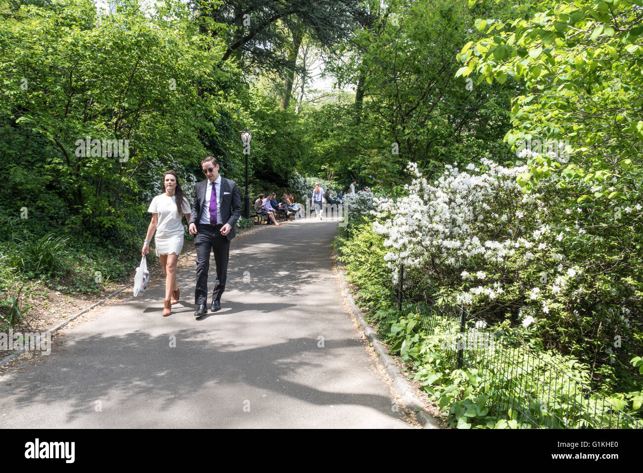 People enjoying pathway in Central Park, NYC Stock Photo - Alamy