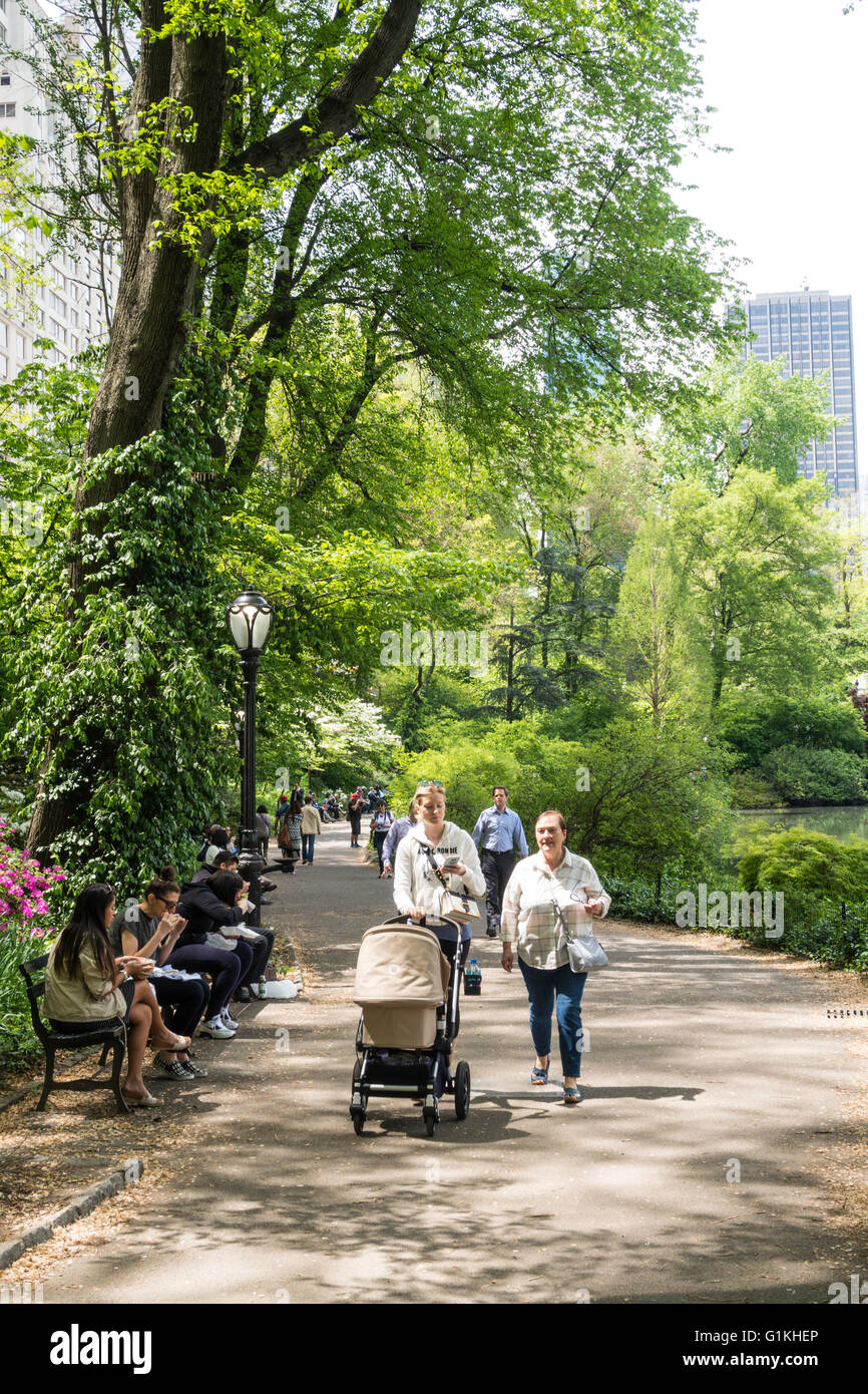 People enjoying pathway in Central Park, NYC Stock Photo - Alamy