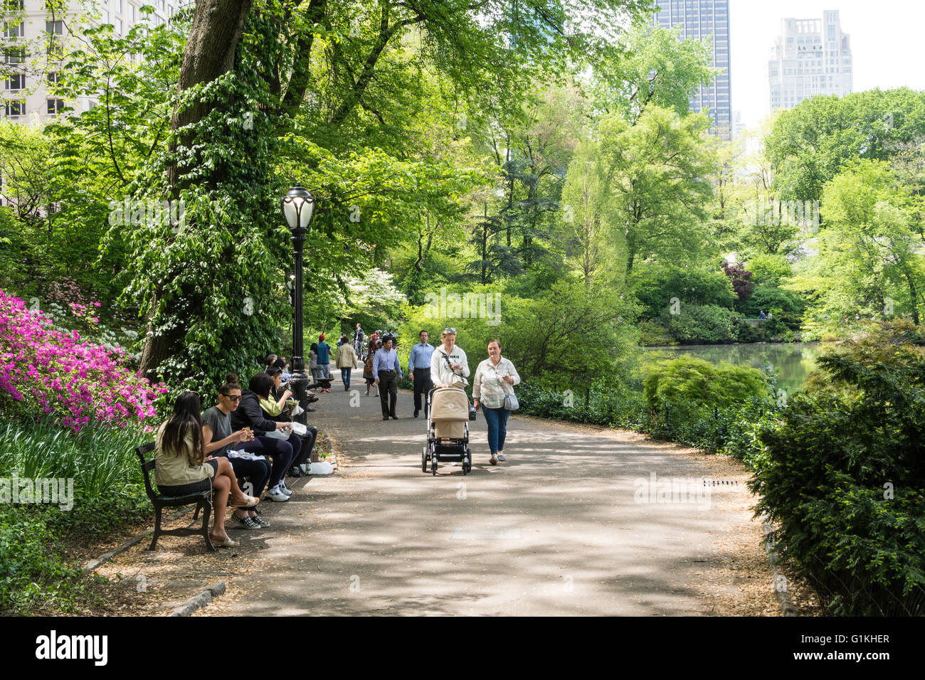 People enjoying pathway in Central Park, NYC Stock Photo - Alamy