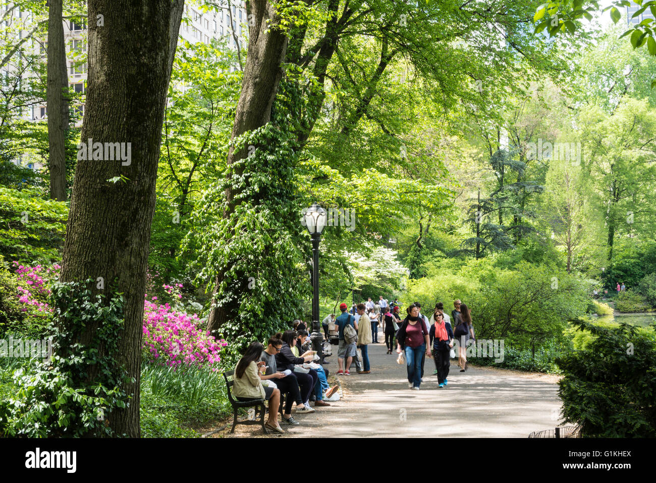 Oasis pathway hi-res stock photography and images - Alamy