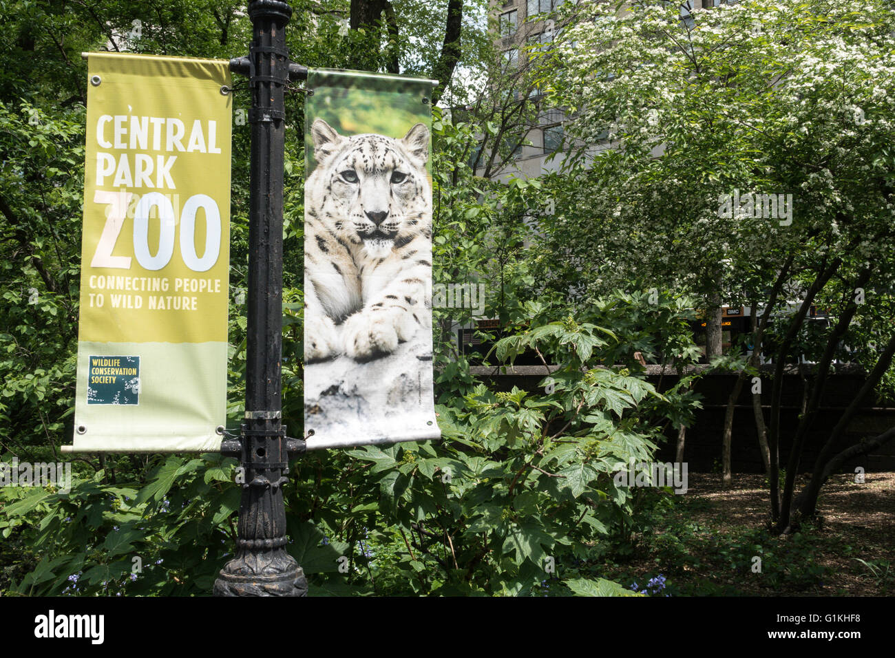 Banners, Central Park Zoo, NYC Stock Photo - Alamy