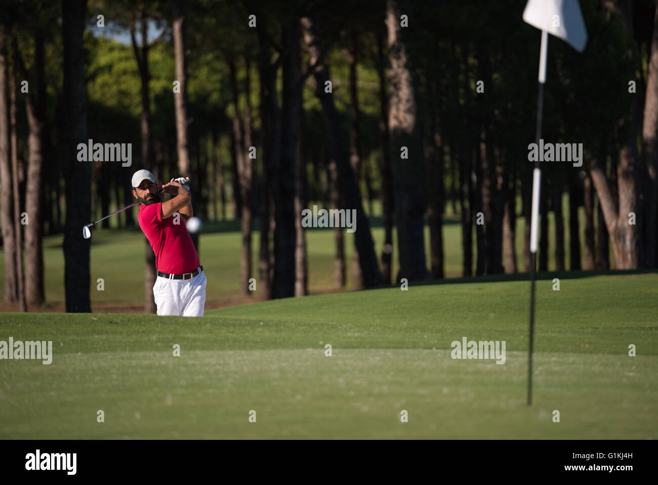 golf player shot ball from sand bunker at course Stock Photo - Alamy
