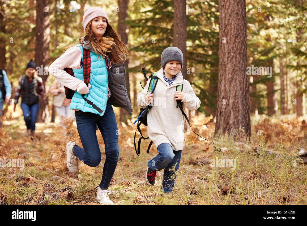 Kids run ahead of family hiking in forest, California, USA Stock Photo ...