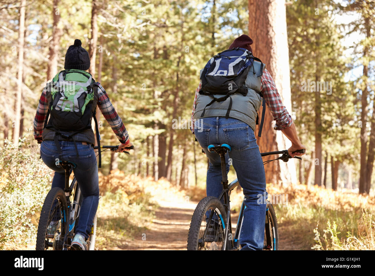 Couple mountain biking through forest, back view Stock Photo - Alamy