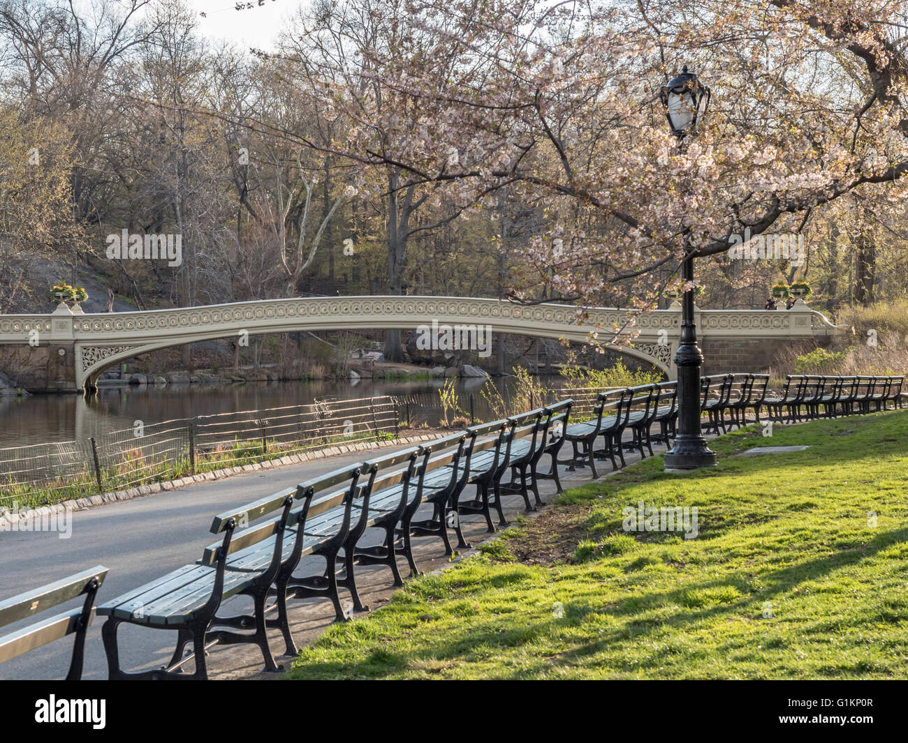 The Bow Bridge is a cast iron bridge located in Central Park, New York ...