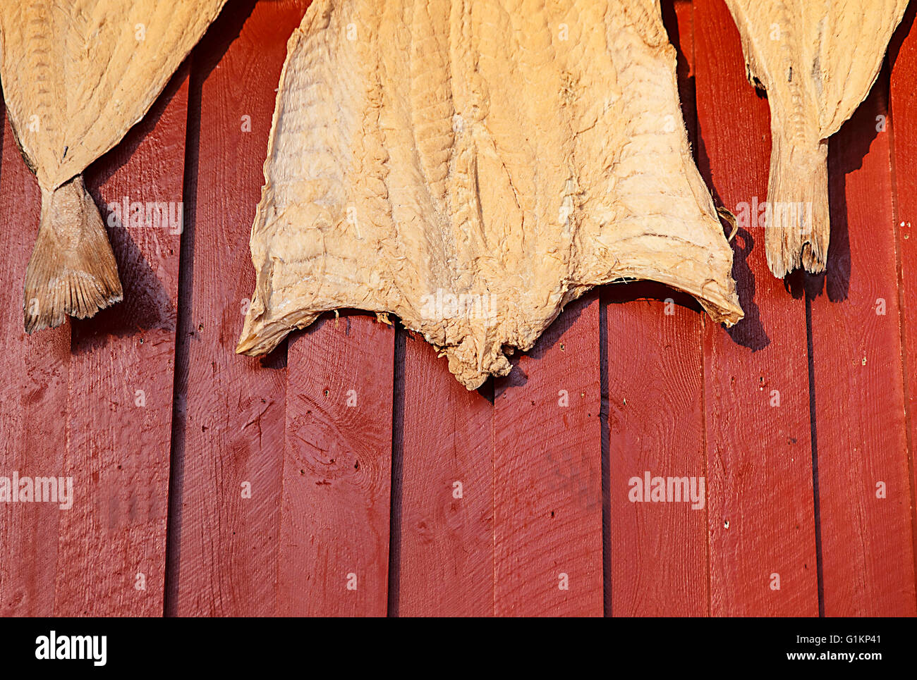 dry cod in cabin-lofoten Stock Photo - Alamy