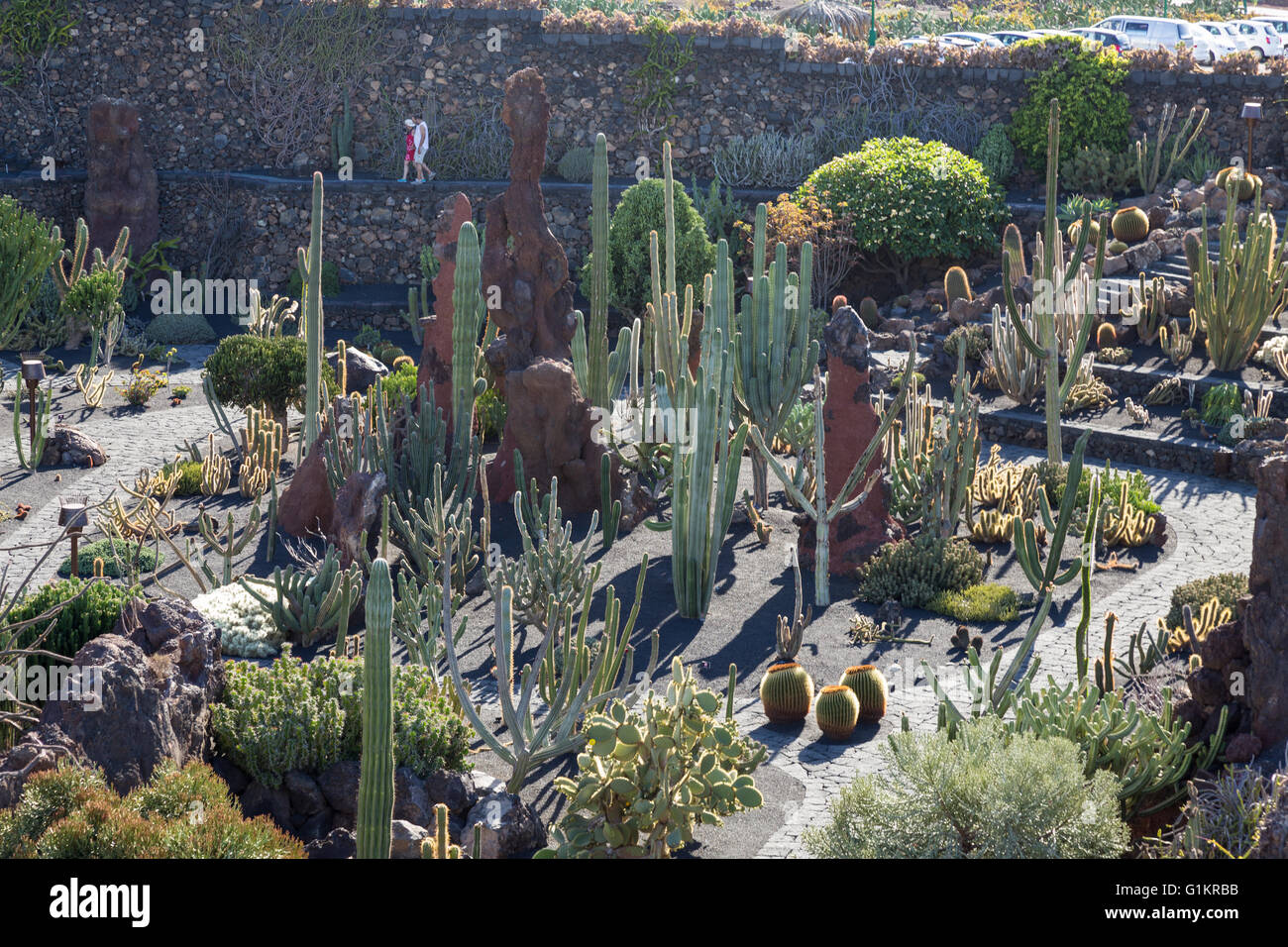 Lanzarote Cactus Garden. Designed by César Manrique Stock Photo - Alamy