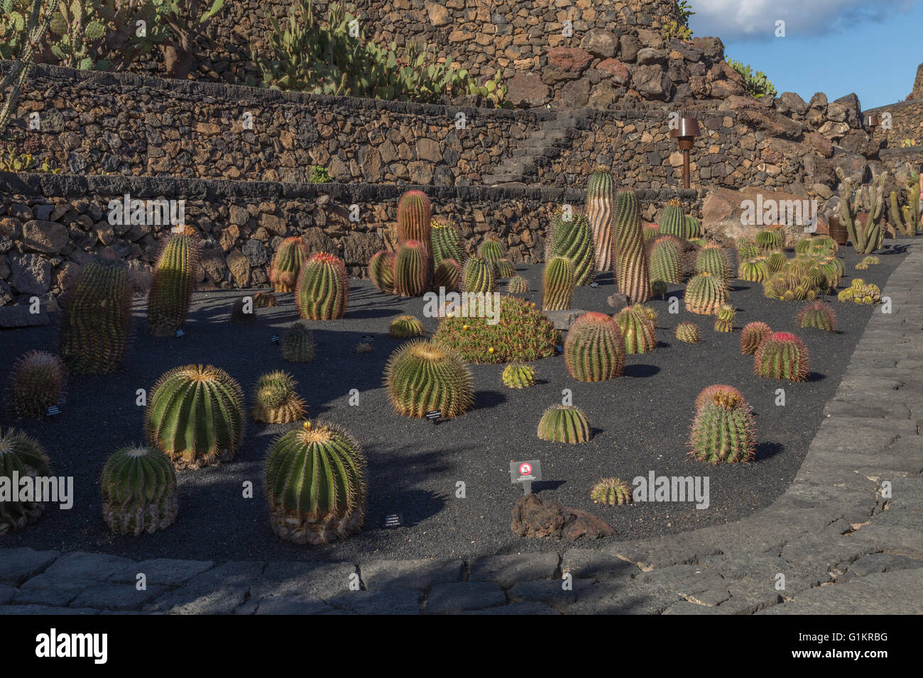 Lanzarote Cactus Garden. Designed by César Manrique Stock Photo - Alamy