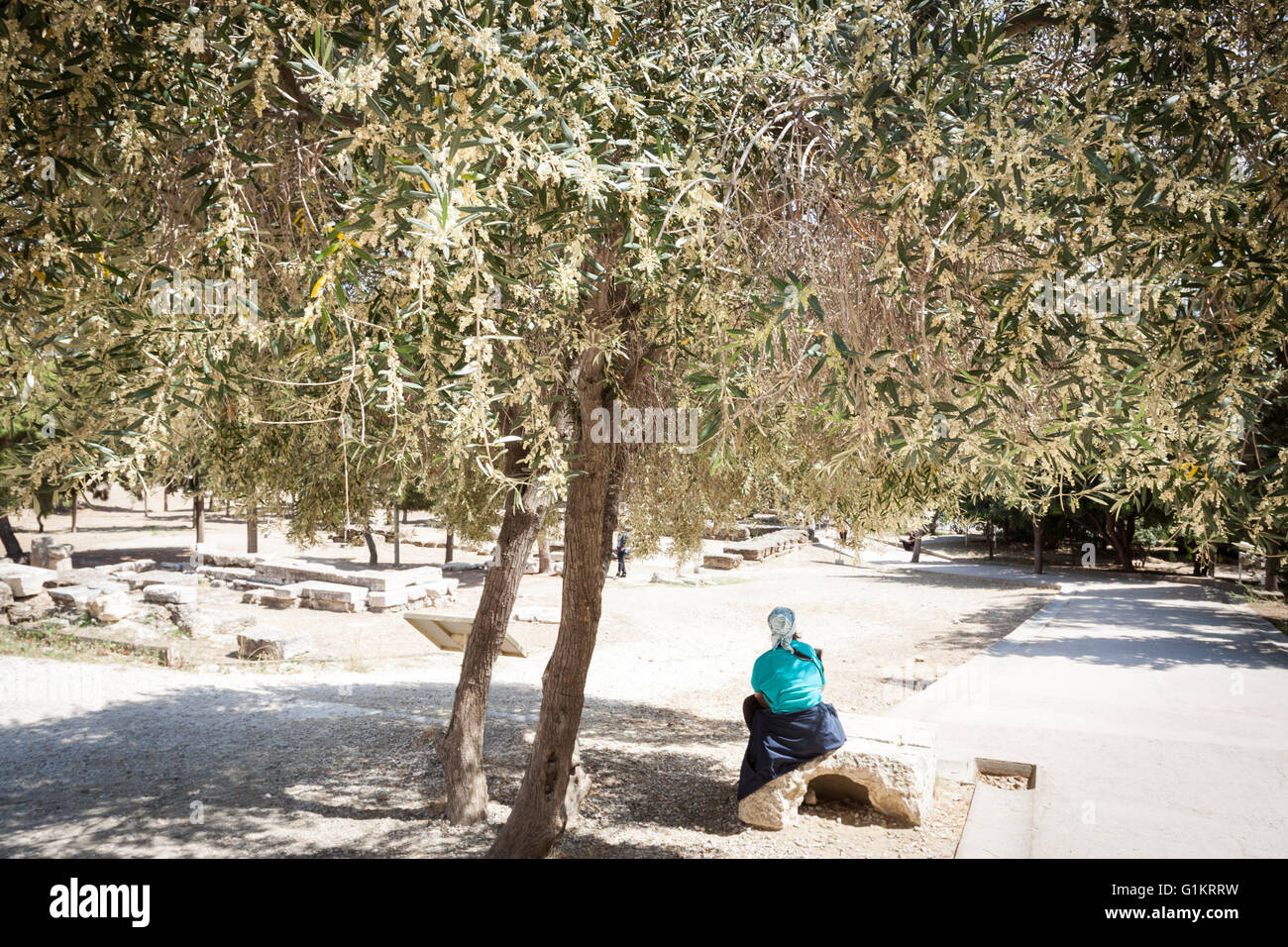 Tourists in the shade of an olive tree in the acropolis Greek. Athens ...