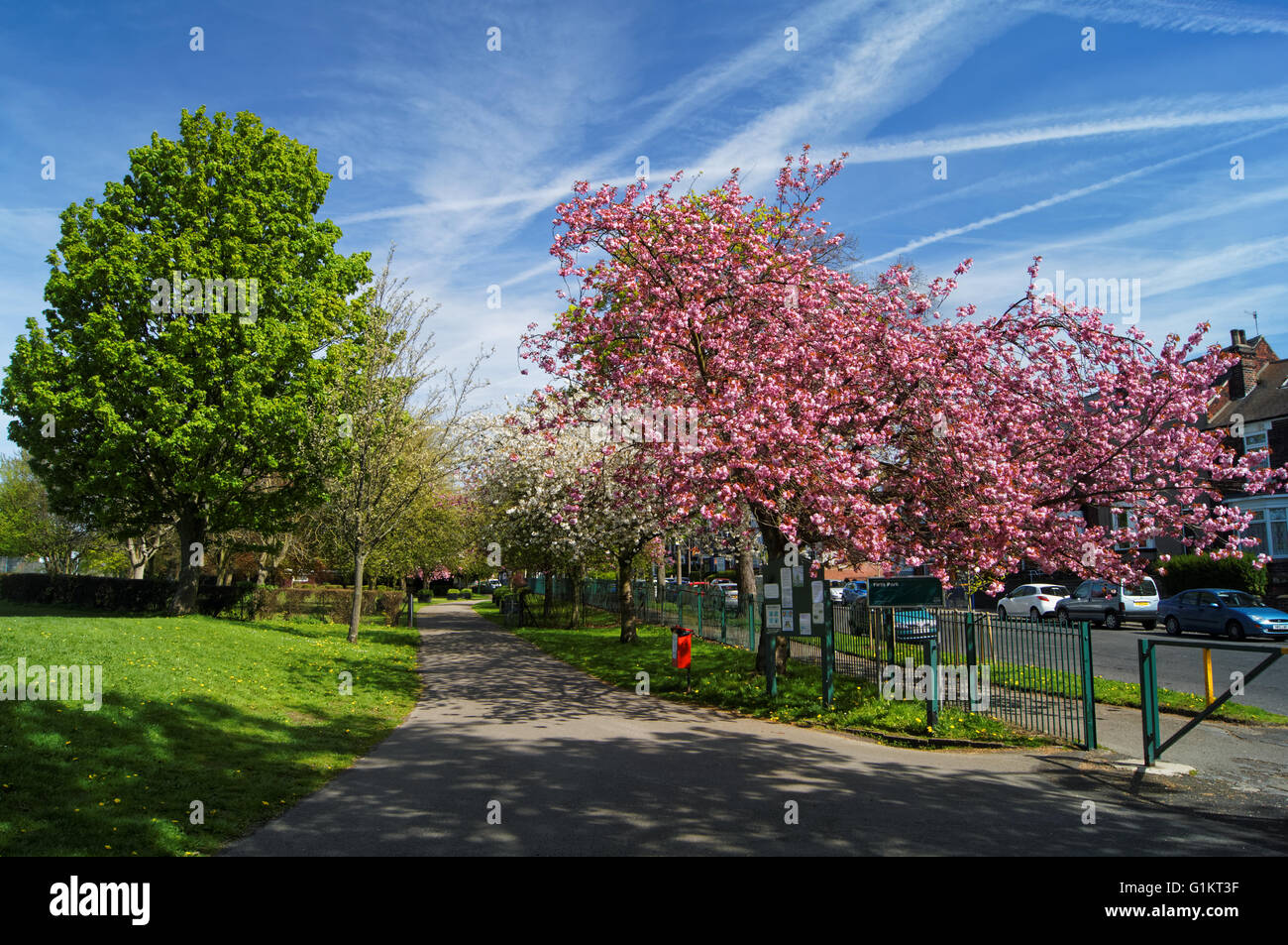 UK, South Yorkshire, Sheffield, Firth Park in Spring Stock Photo - Alamy