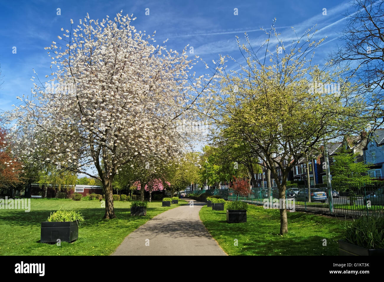 UK, South Yorkshire, Sheffield, Firth Park in Spring Stock Photo - Alamy