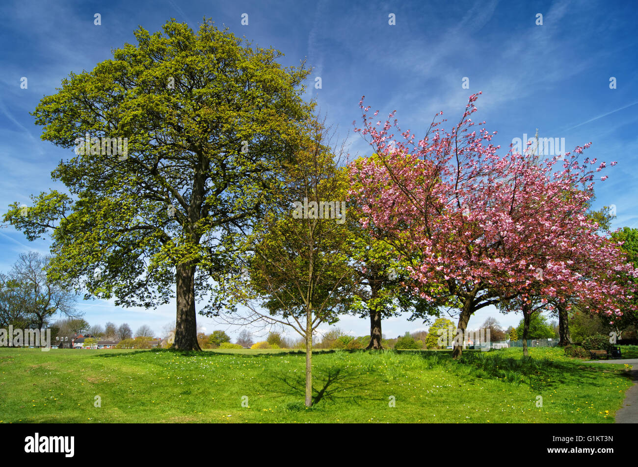UK, South Yorkshire, Sheffield, Firth Park in Spring Stock Photo - Alamy