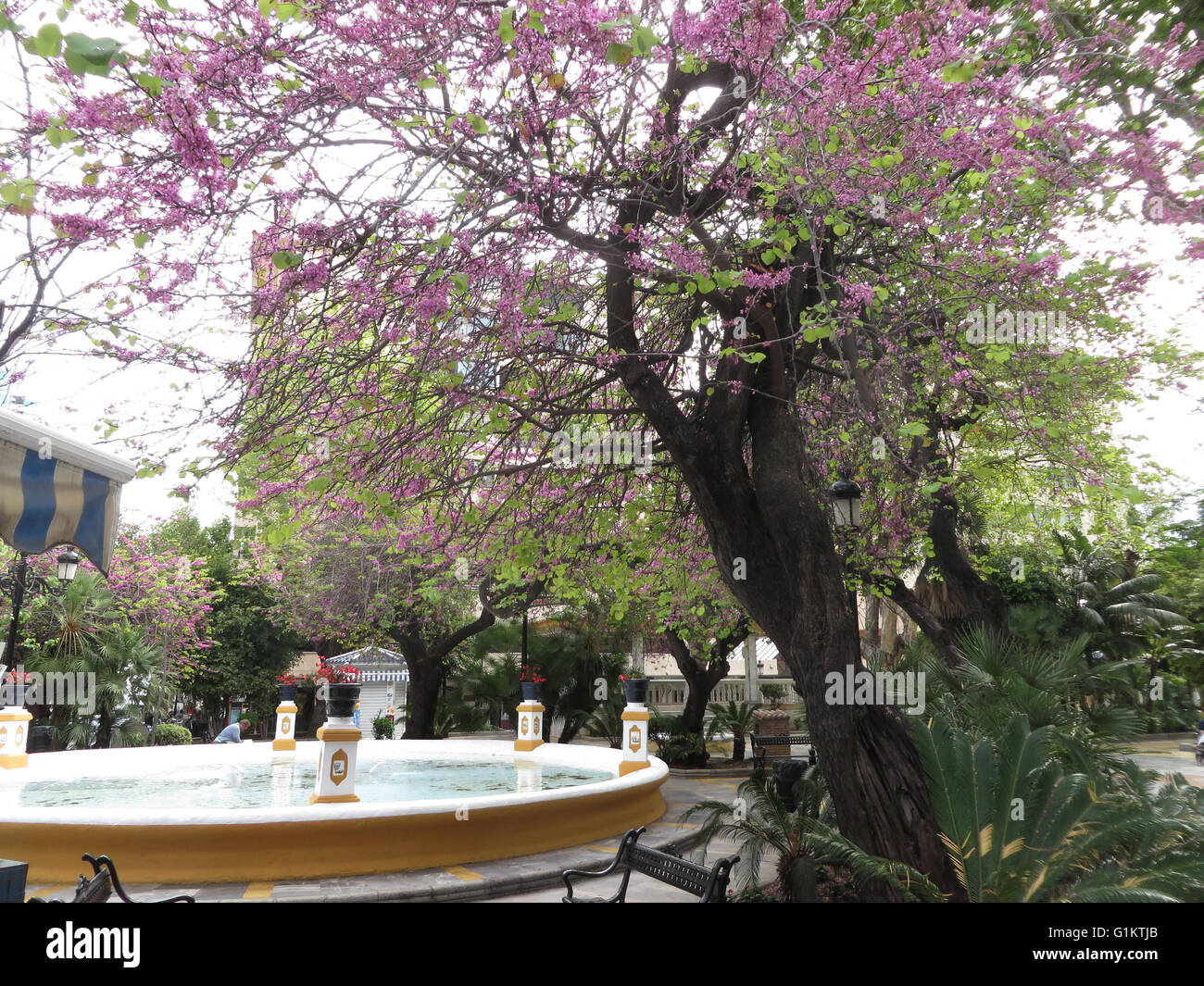 Parque de la alameda marbella hi-res stock photography and images - Alamy
