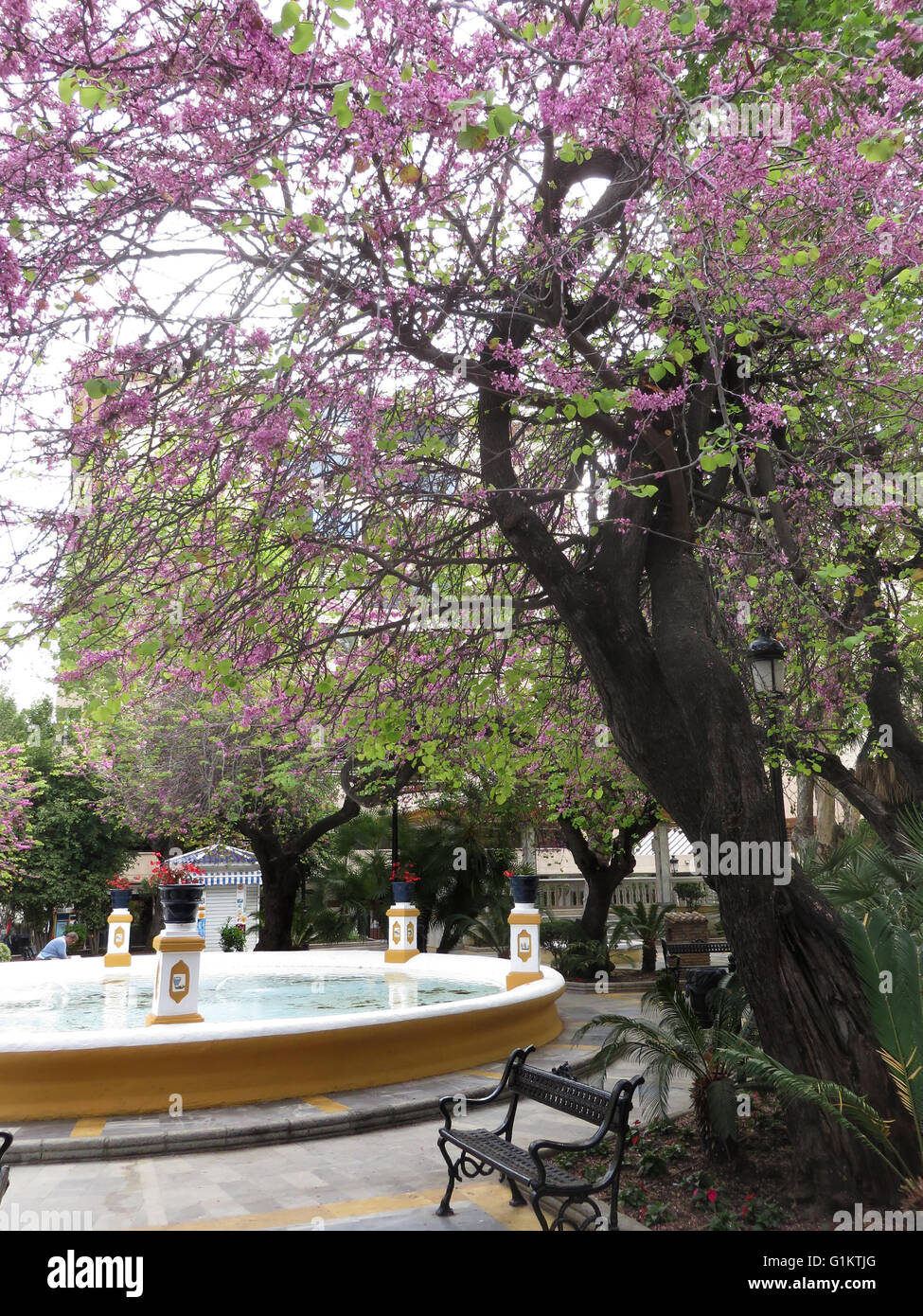 La alameda park marbella hi-res stock photography and images - Alamy