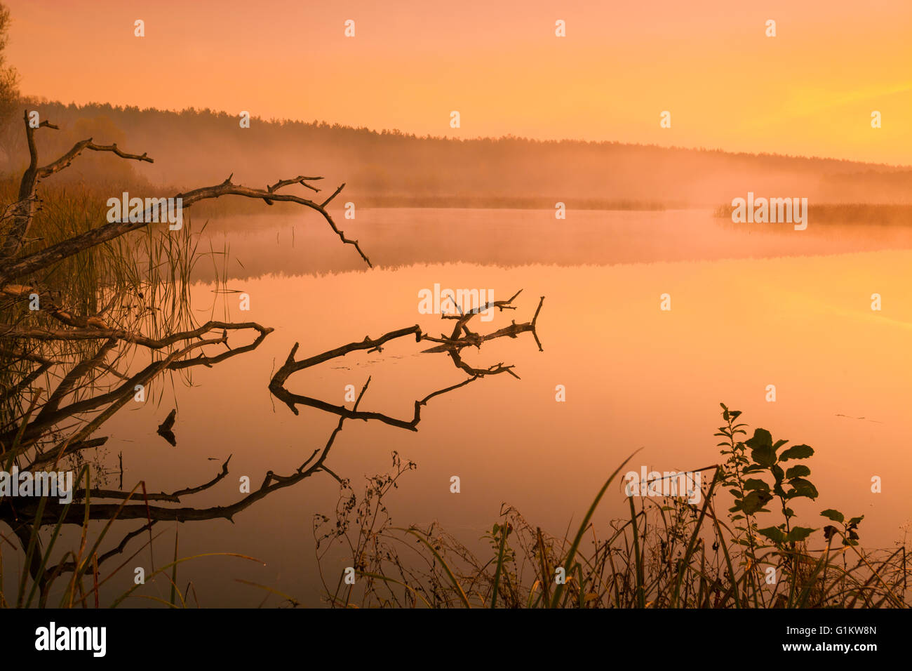 Mist over river hi-res stock photography and images - Alamy