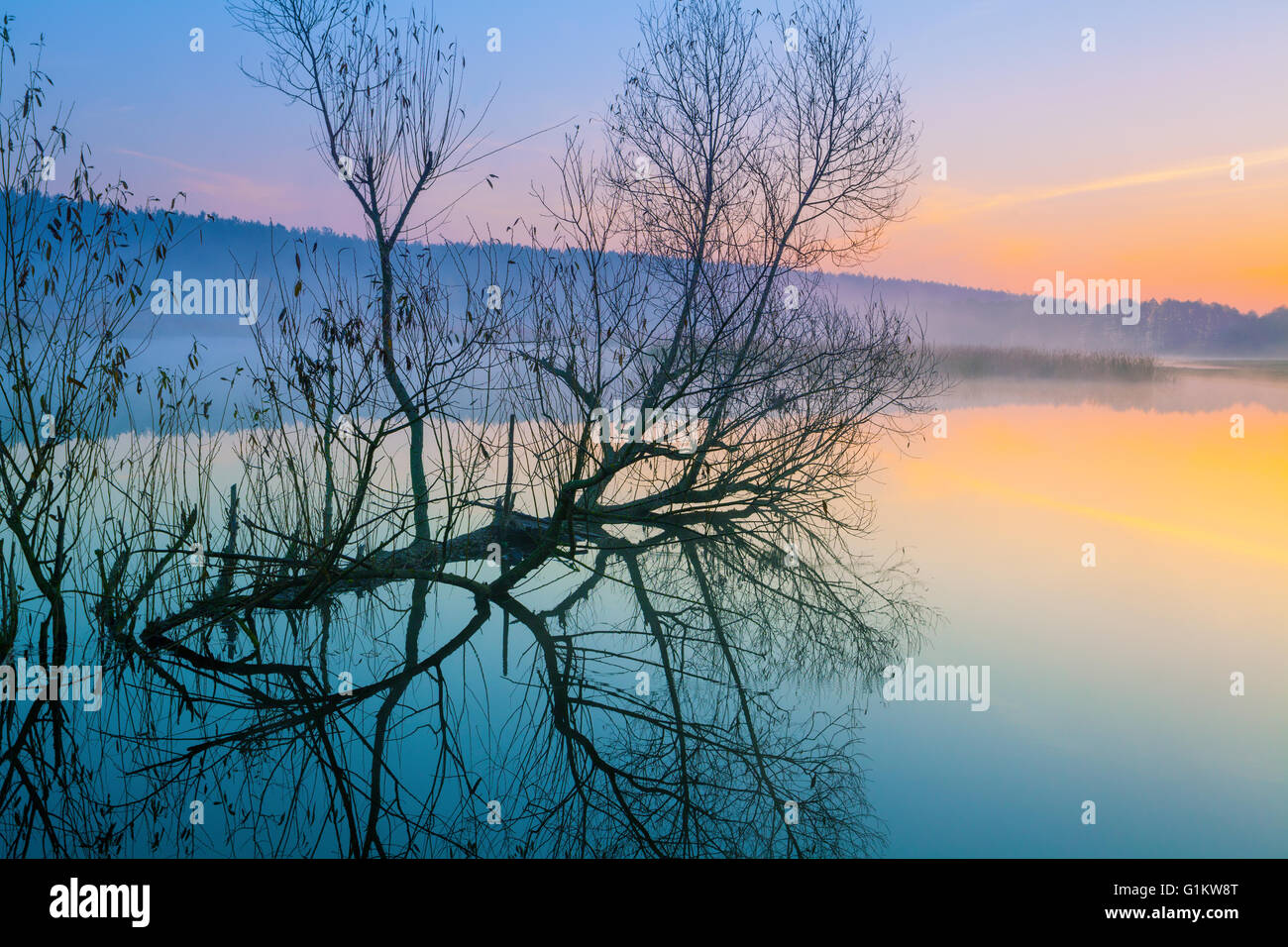 Misty morning. Mist over river. River bank at sunrise Stock Photo - Alamy