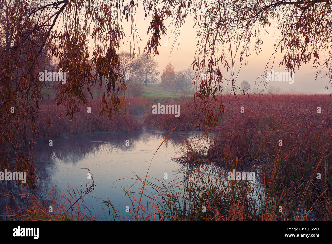 Mist over river hi-res stock photography and images - Alamy