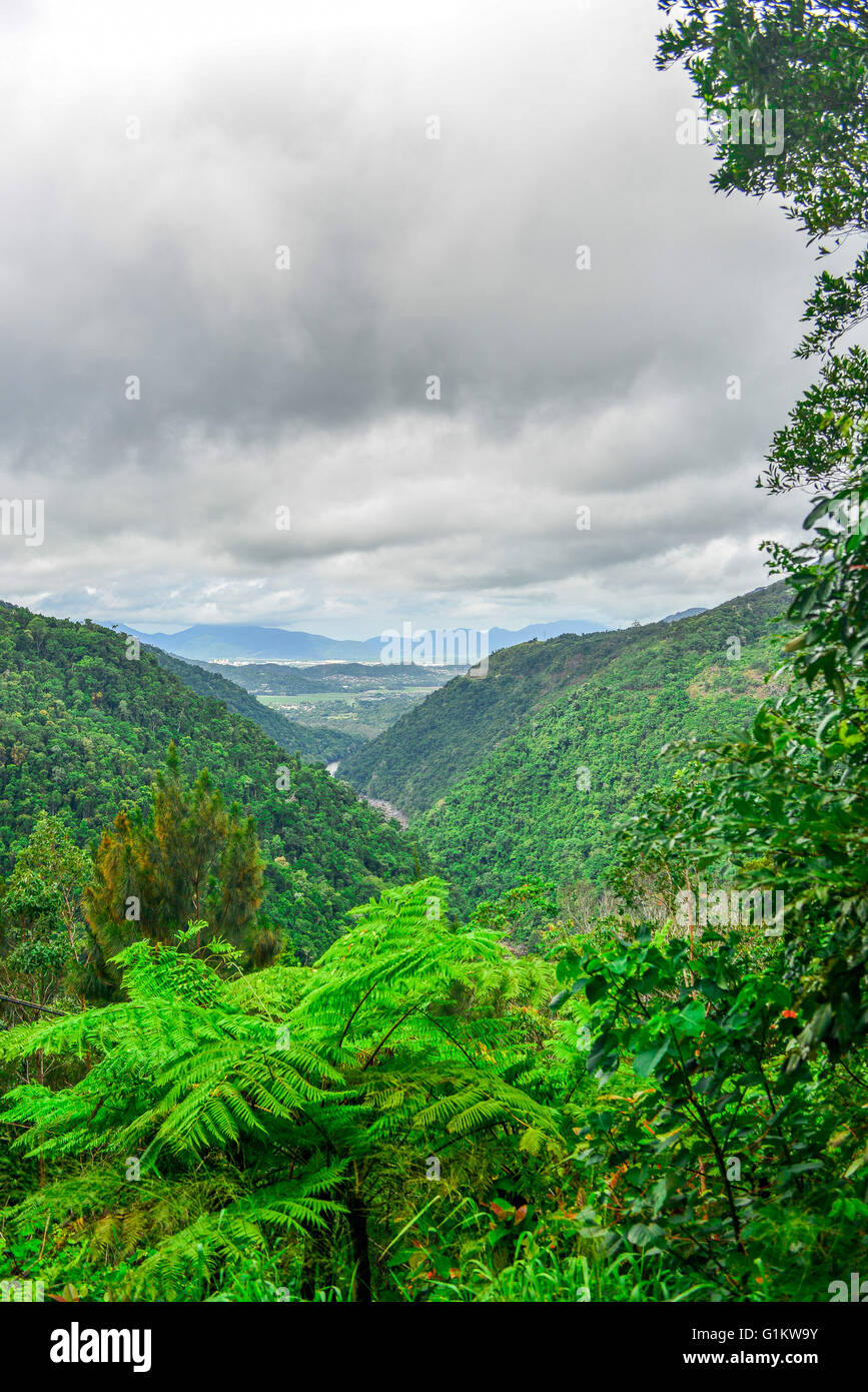 Rainforest Ocean lookout Stock Photo - Alamy
