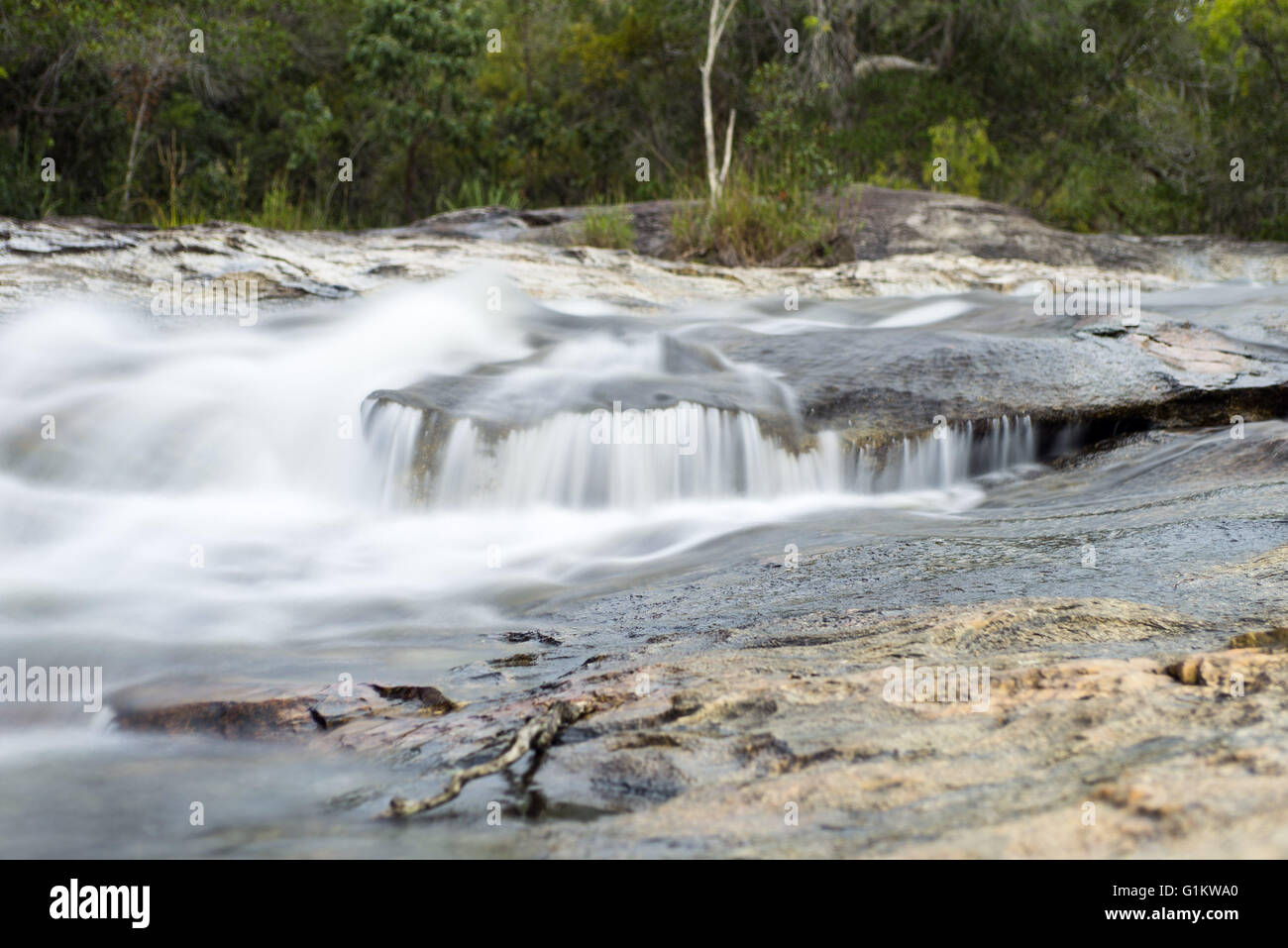 Tropical Rainforest stream in QLD Australia Stock Photo - Alamy