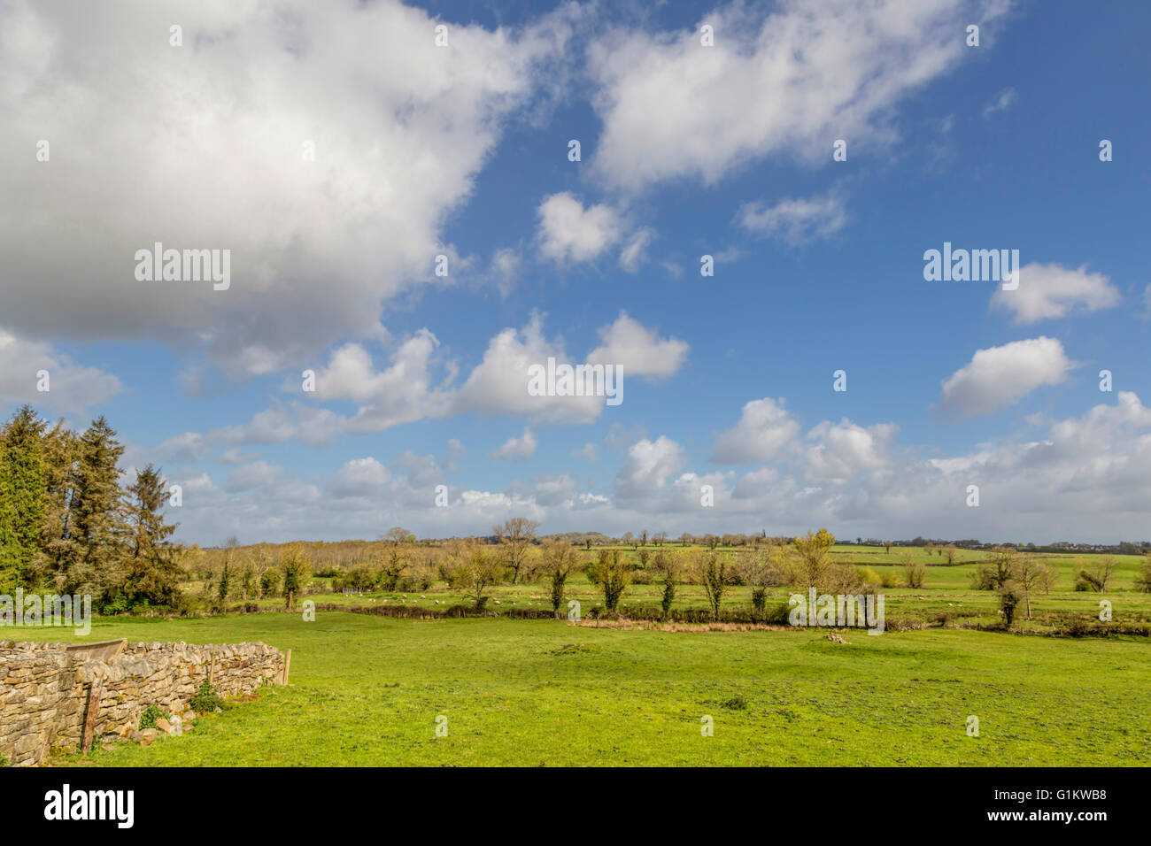 Wide angle view from Jerpoint Park, the location of The Lost Town of ...