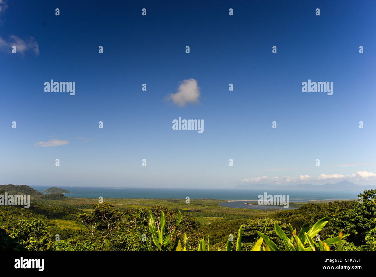 Rainforest Ocean lookout Stock Photo - Alamy