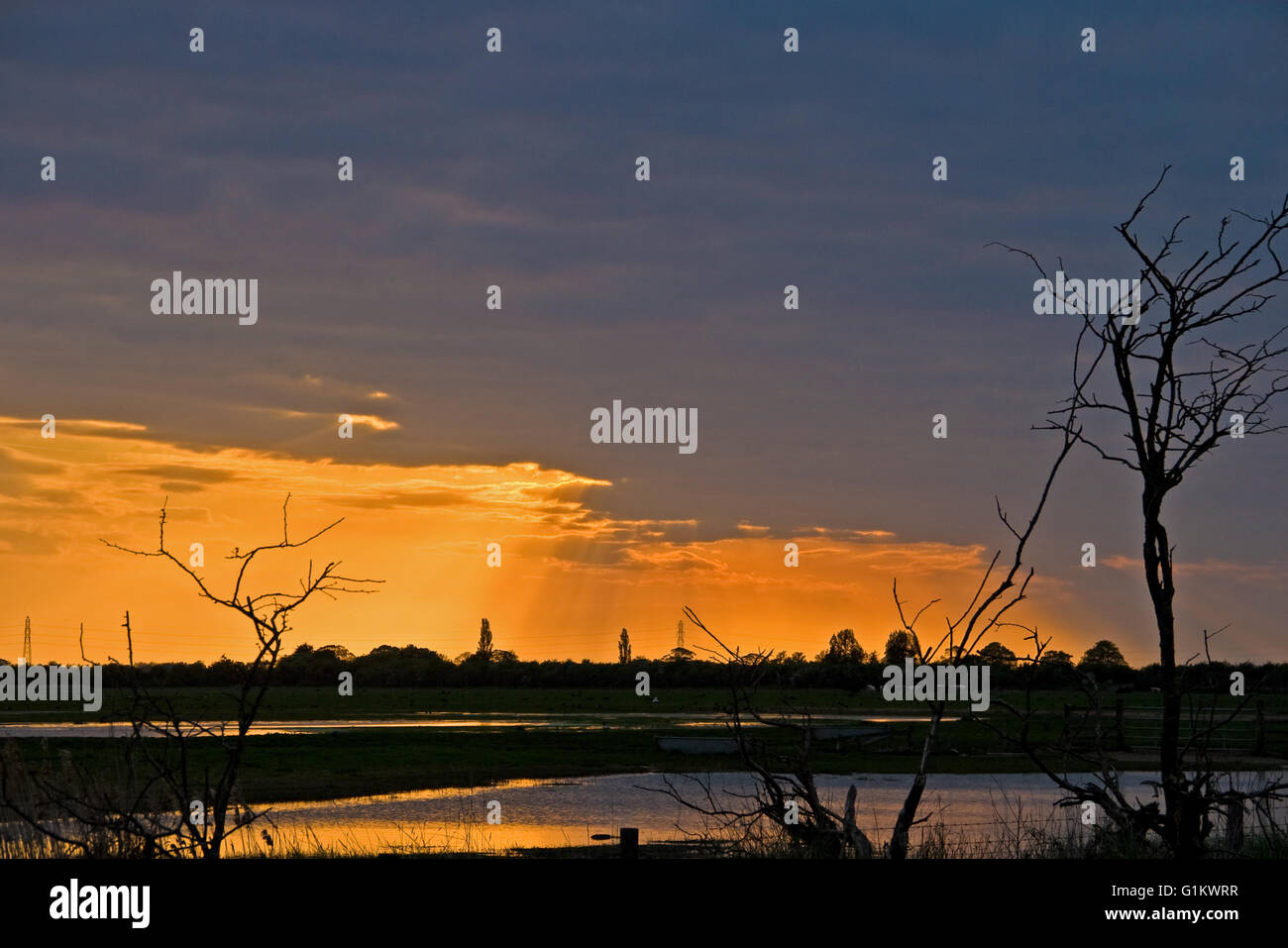 Frampton Marsh High Resolution Stock Photography and Images - Alamy