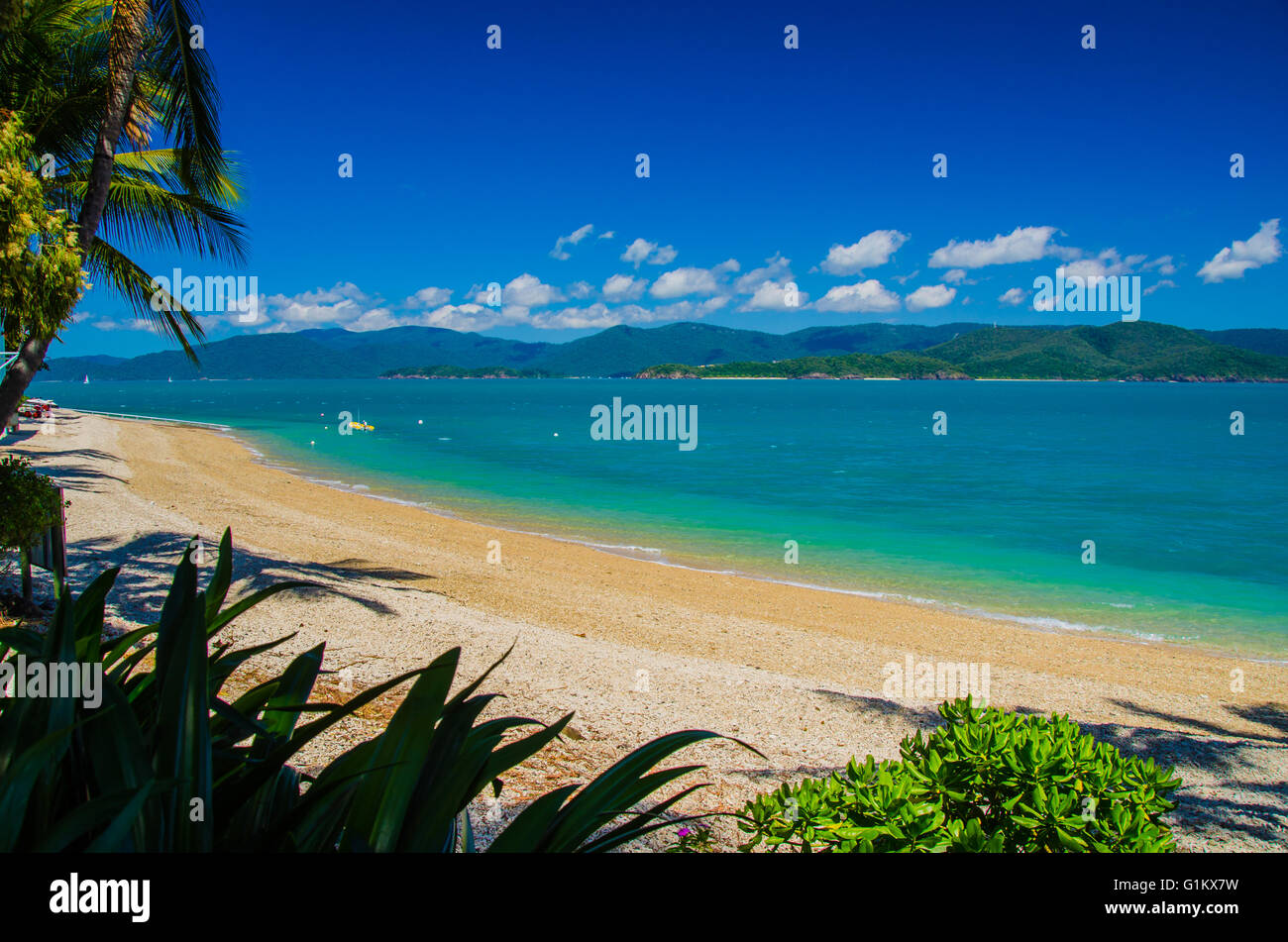 Daydream island australia hi-res stock photography and images - Alamy