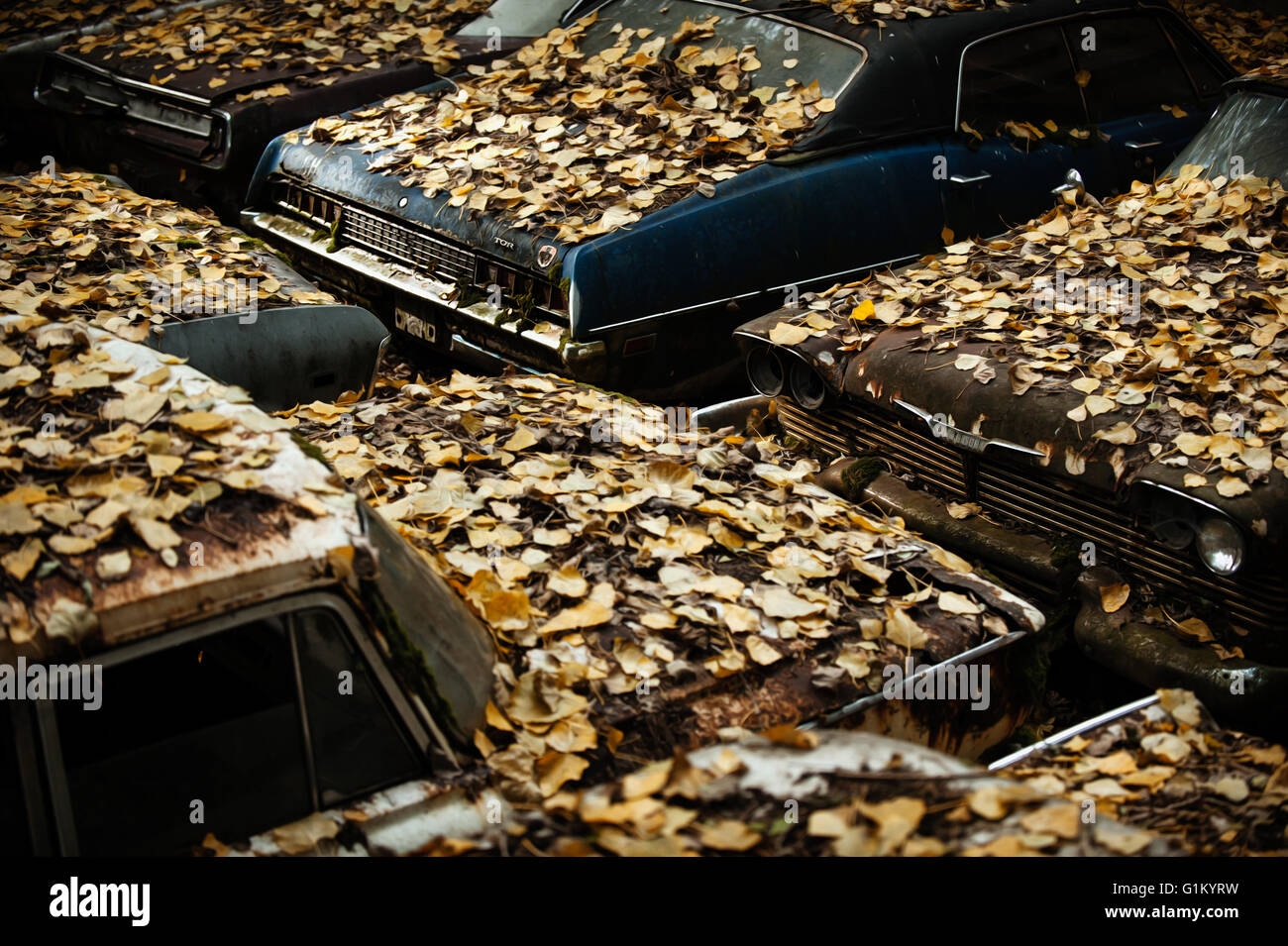 Hidden cars hi-res stock photography and images - Alamy
