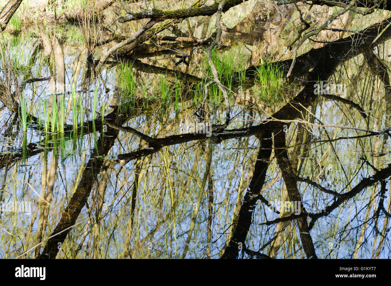 Pool of the biosphere hi-res stock photography and images - Alamy