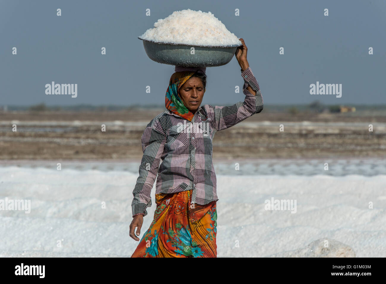 Female Salt Worker With Basket On Her Head, Salt Marsh, Little Raan Of ...