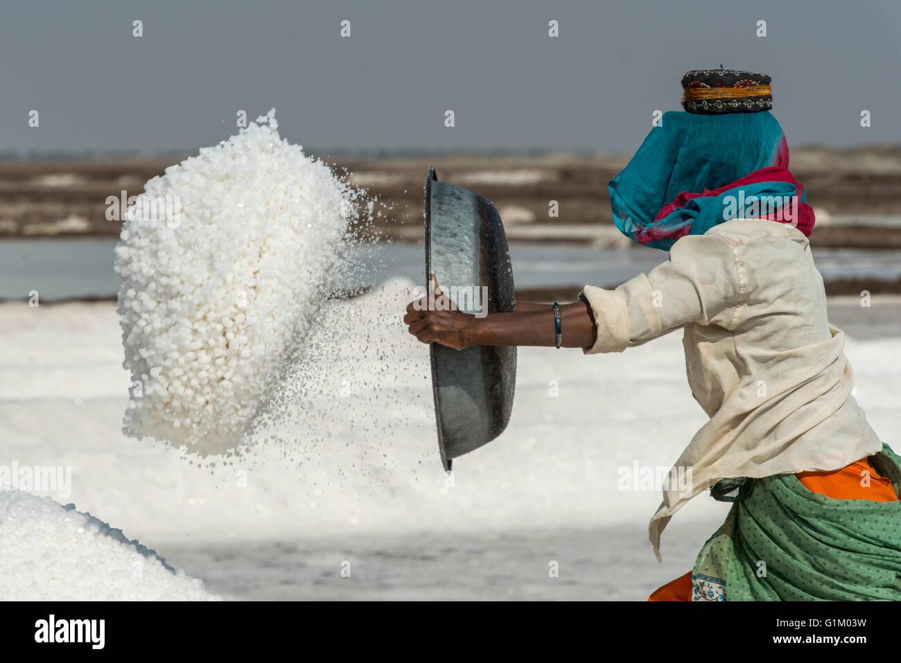 Female Salt Worker With Basket, Salt Marsh, Little Raan Of Kutch Stock ...