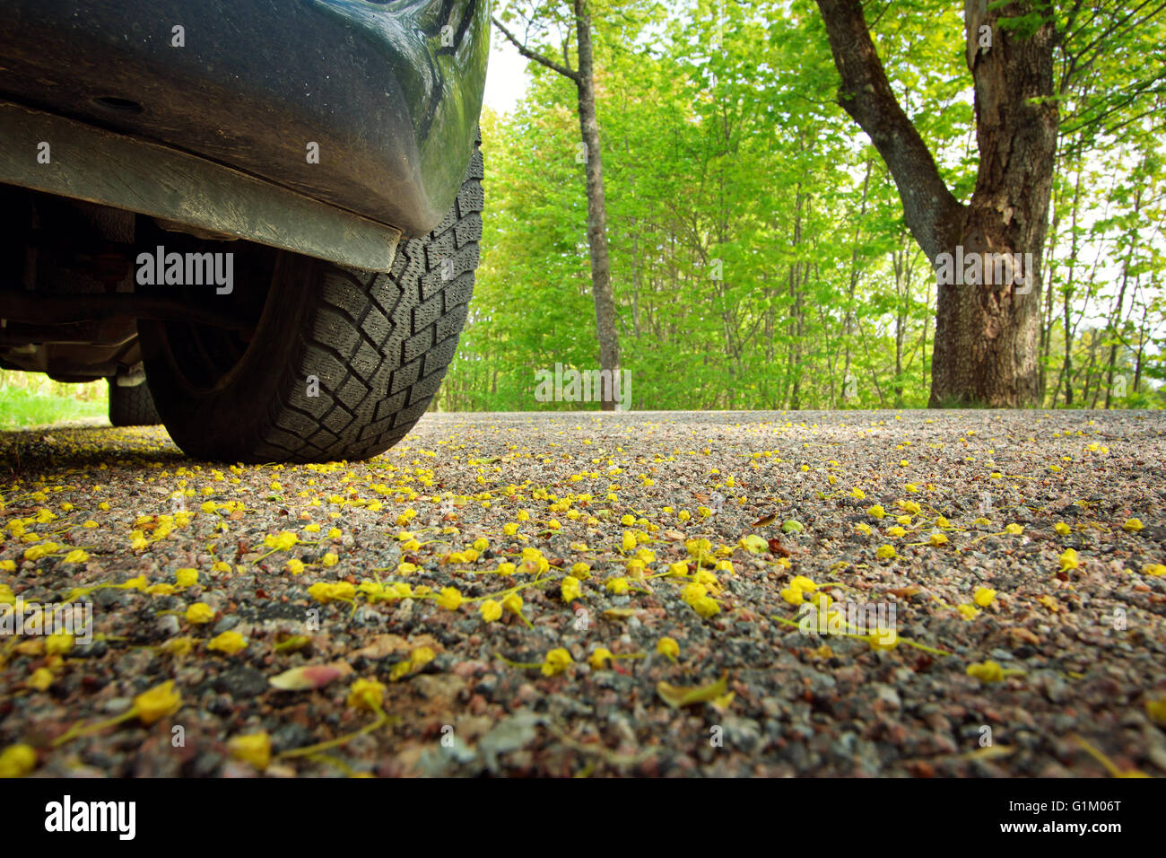 Car on asphalt road in spring Stock Photo - Alamy