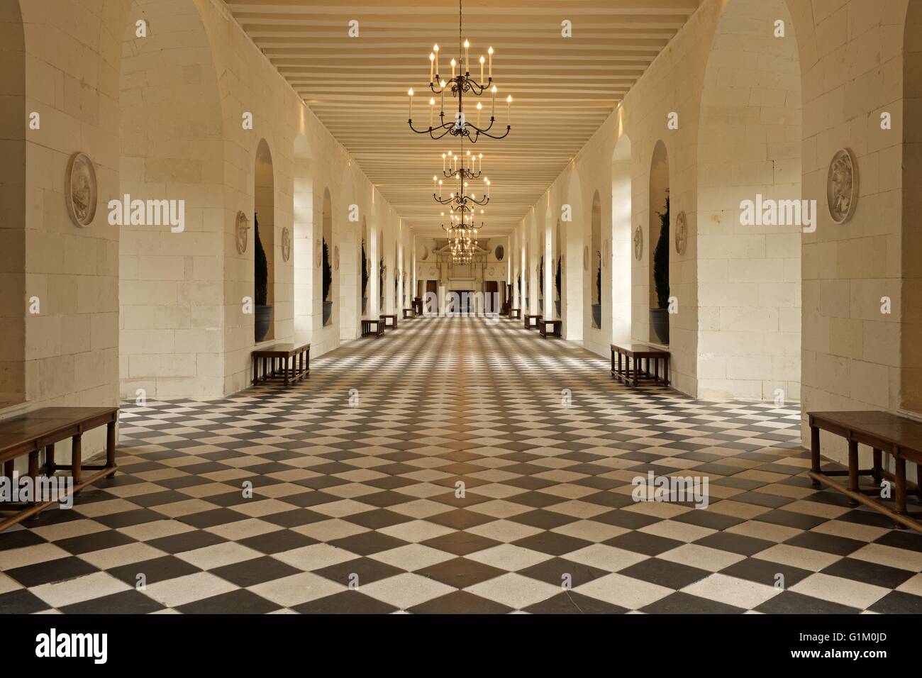 A colour image taken inside the chateau de chenonceau Stock Photo - Alamy