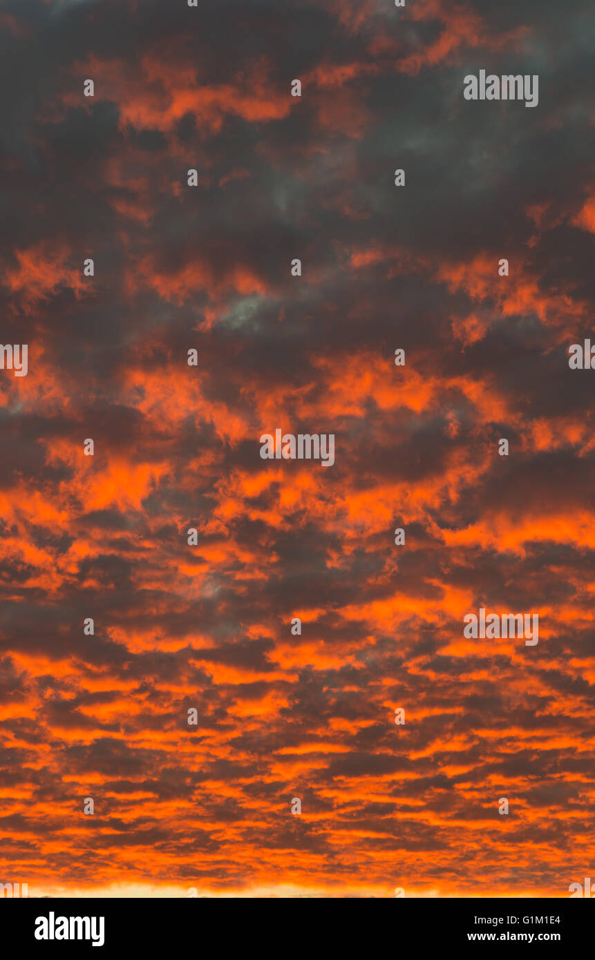 evening sky with dramatic sunset clouds Stock Photo - Alamy