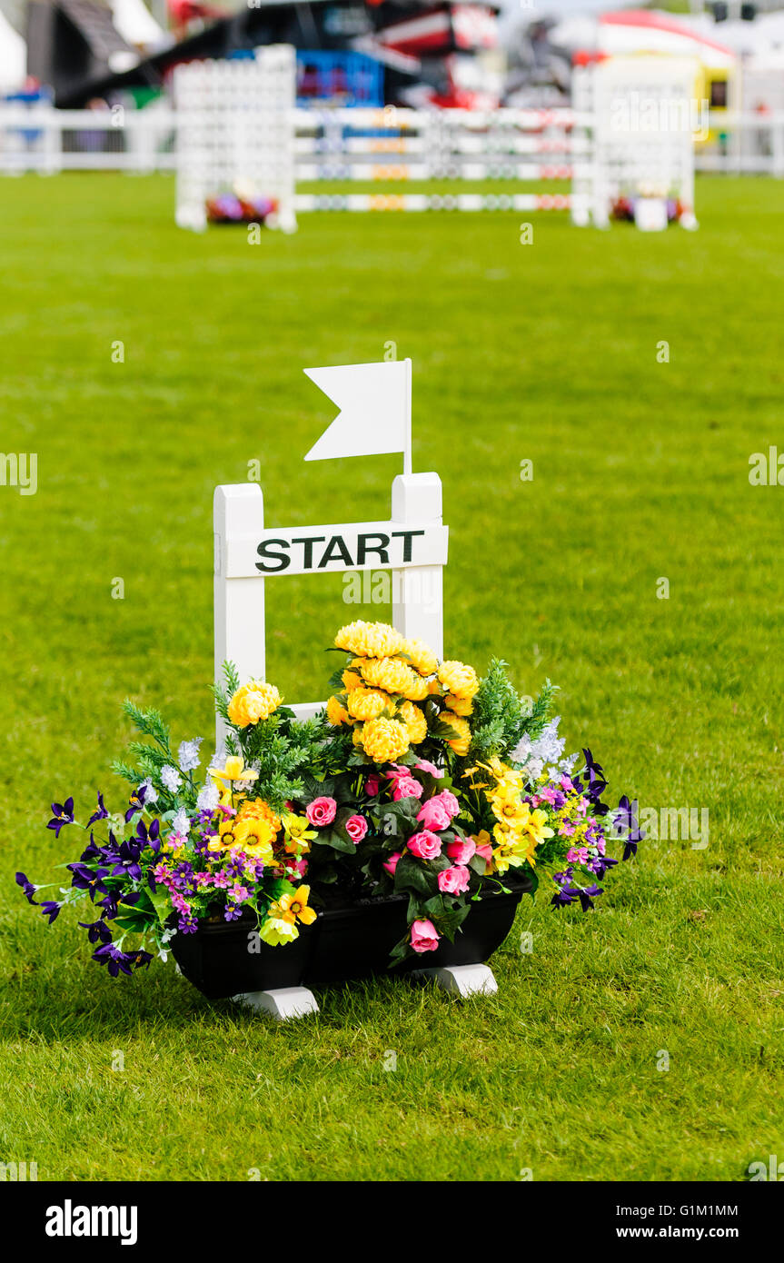 Start showjumping hi-res stock photography and images - Alamy