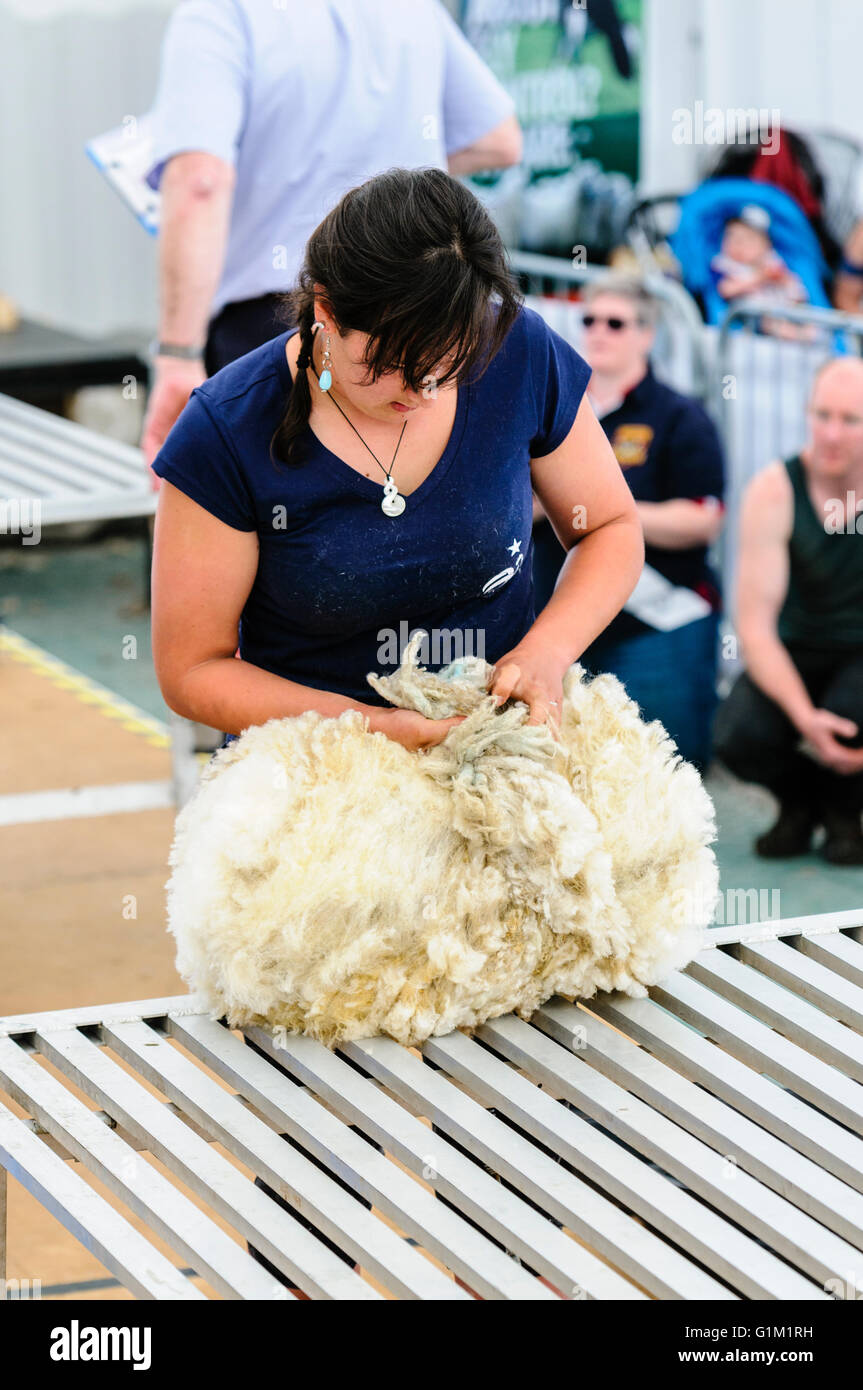 Sheeps fleece hi-res stock photography and images - Alamy