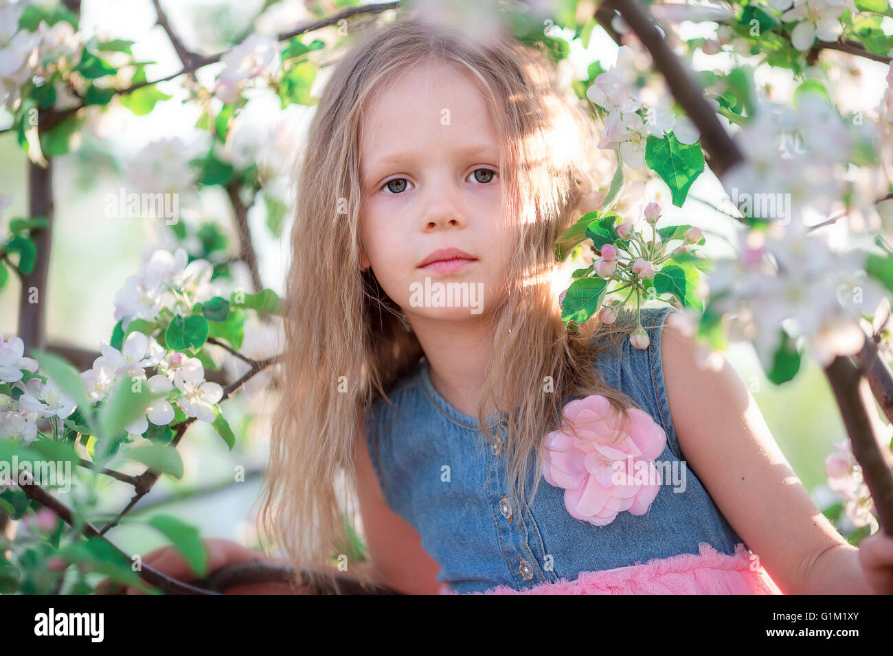 Portrait Of Adorable Little Girl In Blooming Cherry Tree Garden