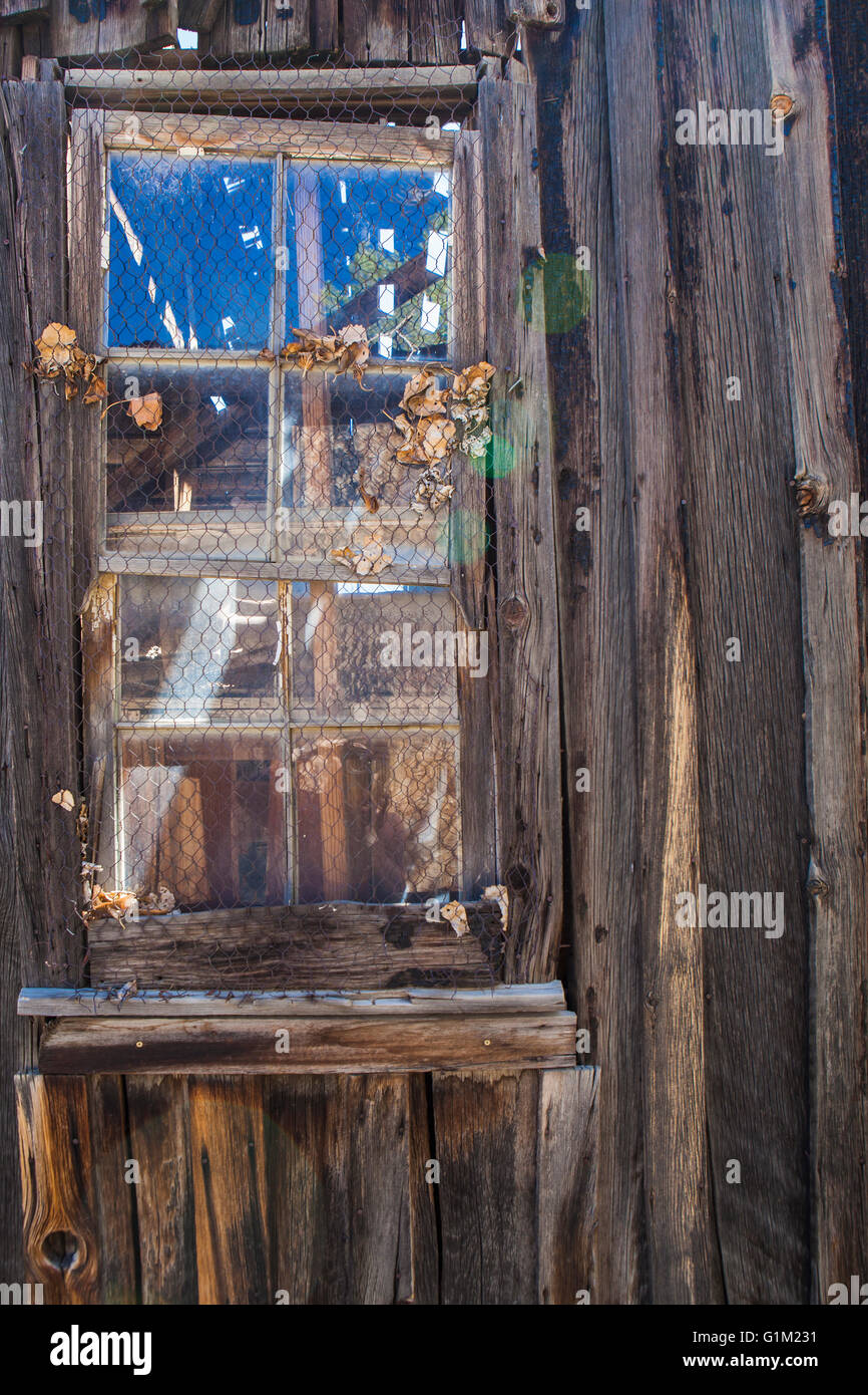 Old window with chicken wire with interesting light Stock Photo - Alamy