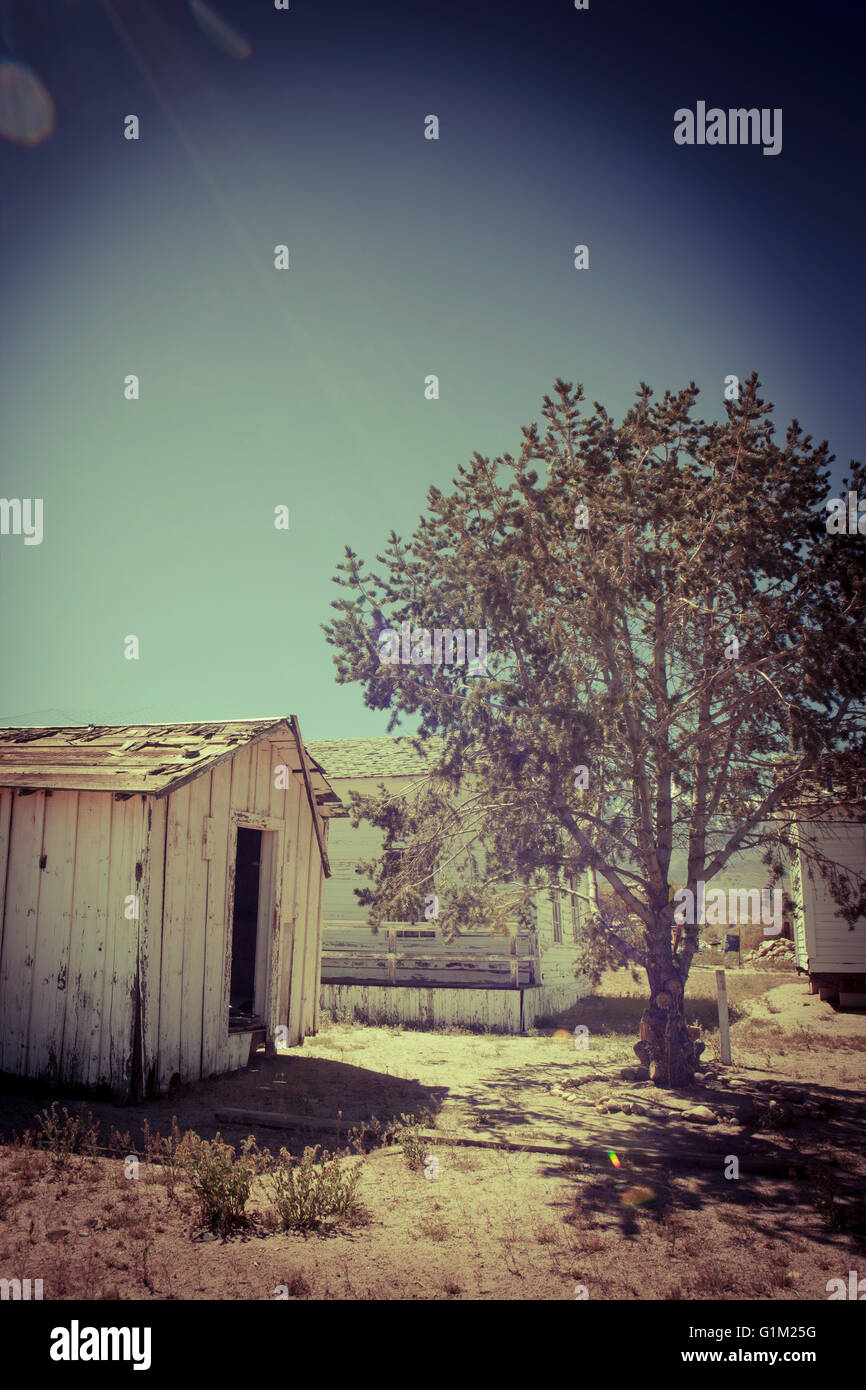 Old abandoned shacks on a high desert homestead in the sun with ...