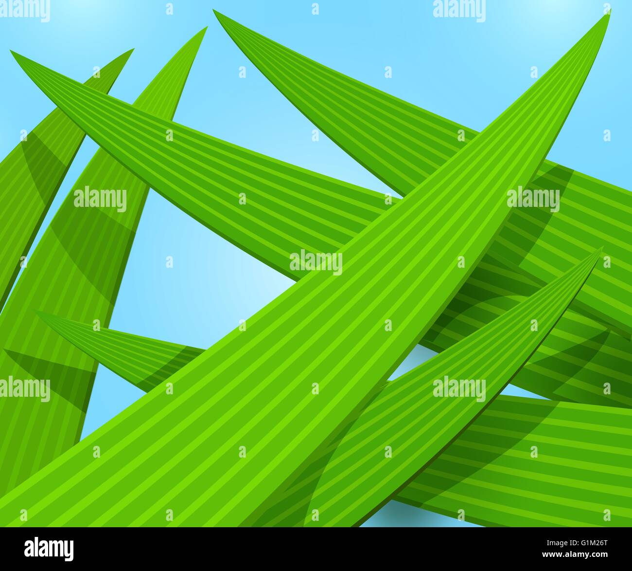 Green grass macro vector background Stock Vector Image & Art - Alamy