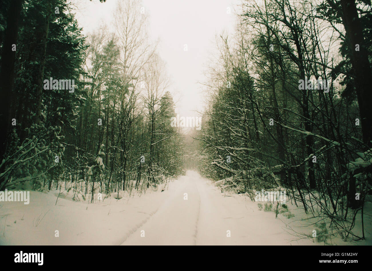 Remote pathway hi-res stock photography and images - Alamy