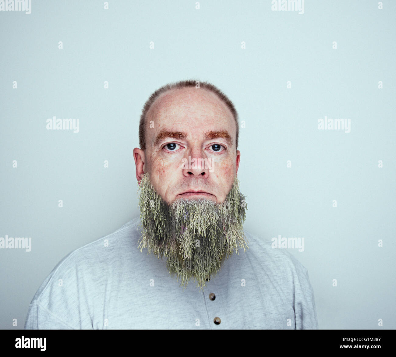 Caucasian man wearing tree beard Stock Photo - Alamy