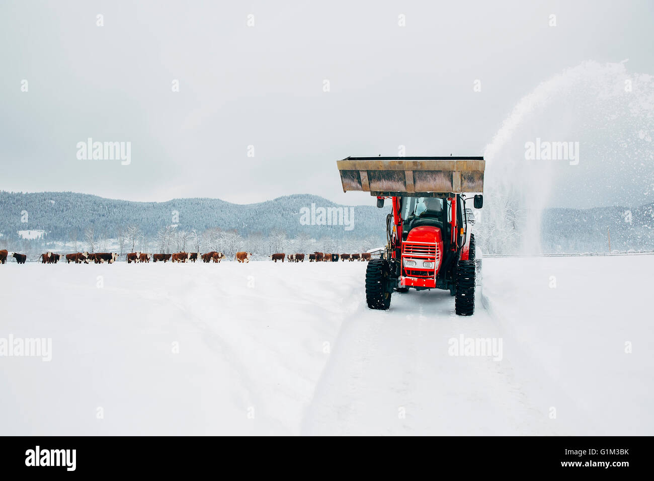 Large snow plow hi-res stock photography and images - Alamy