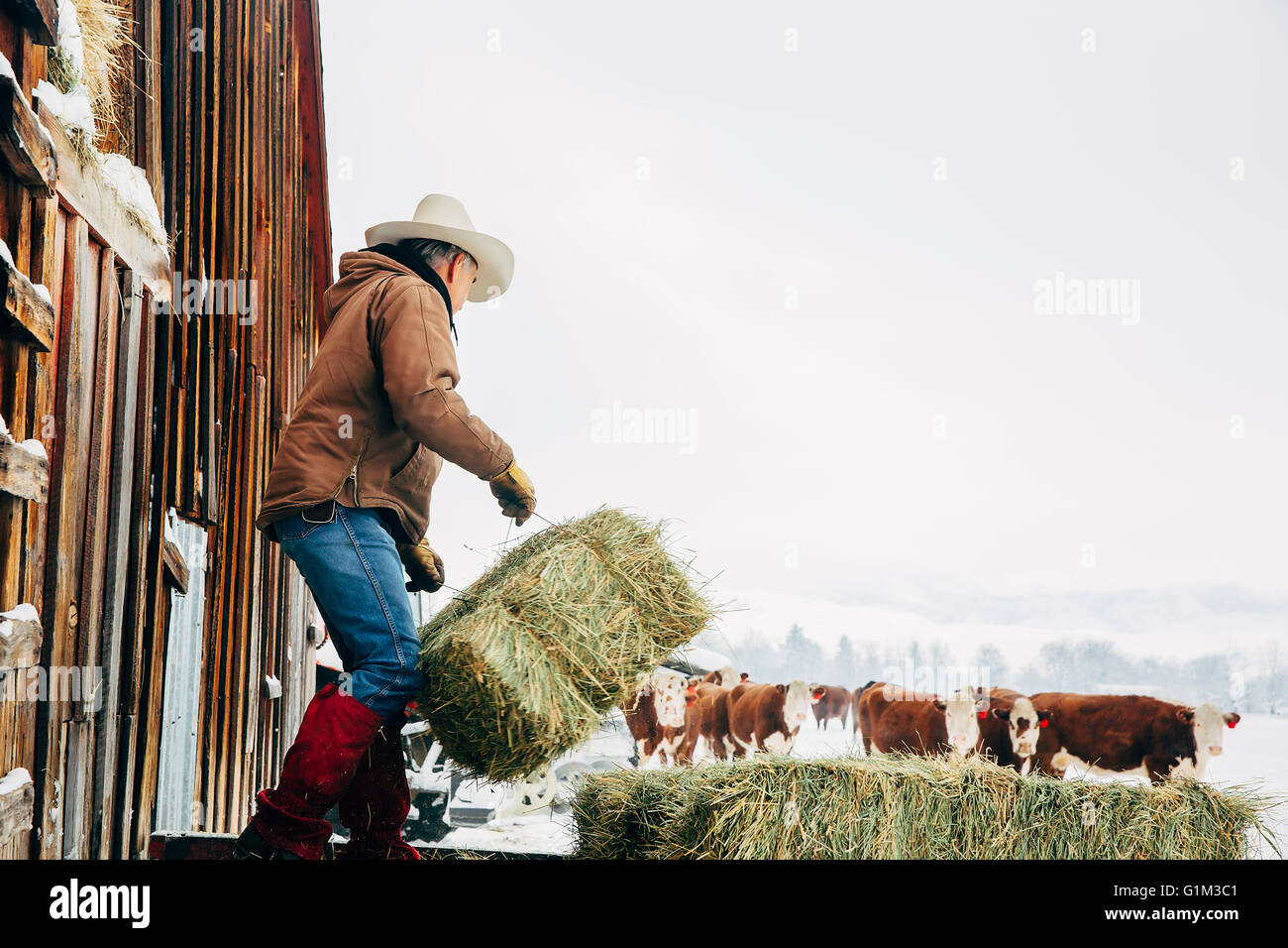 Bale hauling hi-res stock photography and images - Alamy