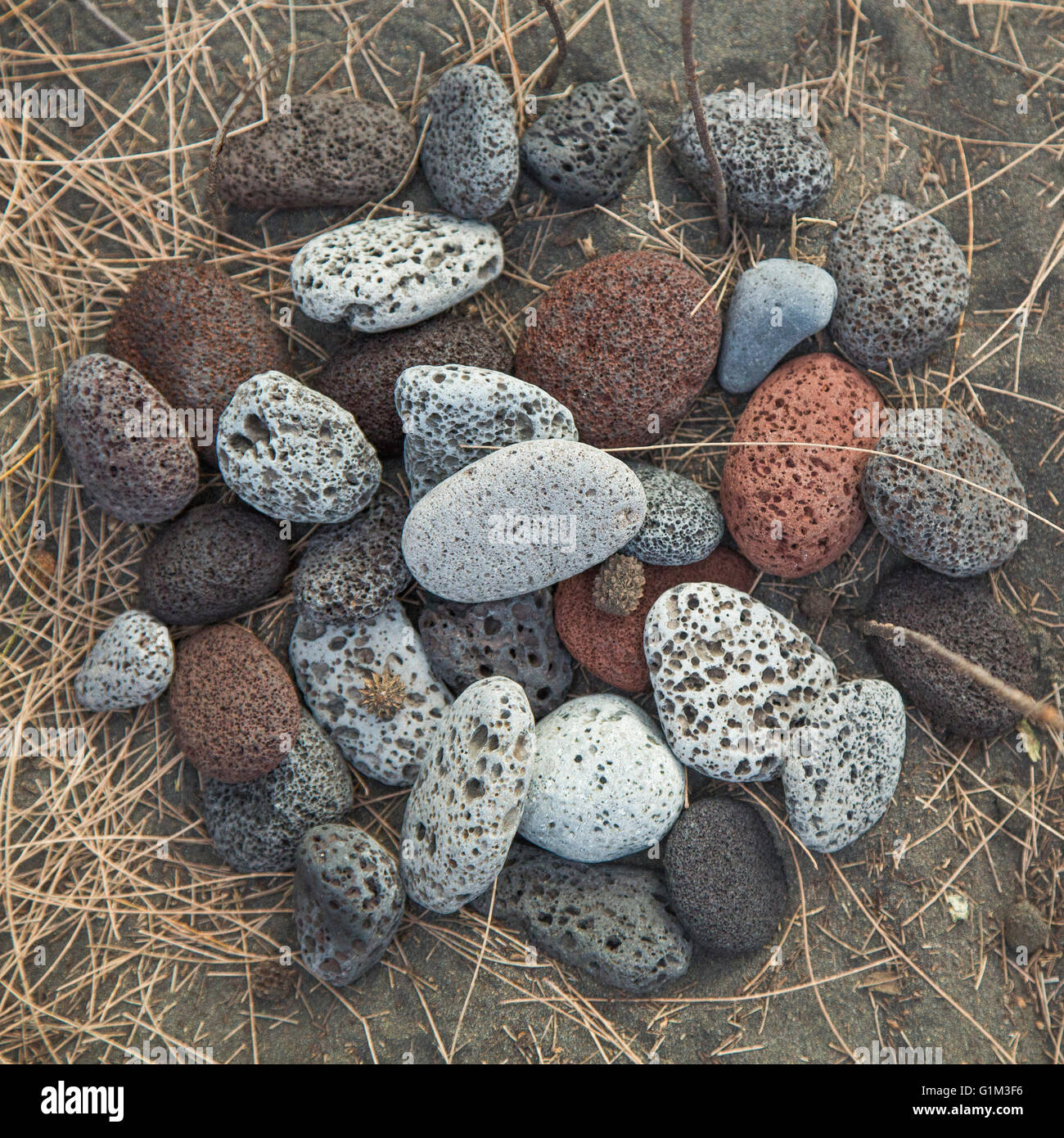 Close up of rocks on beach Stock Photo - Alamy