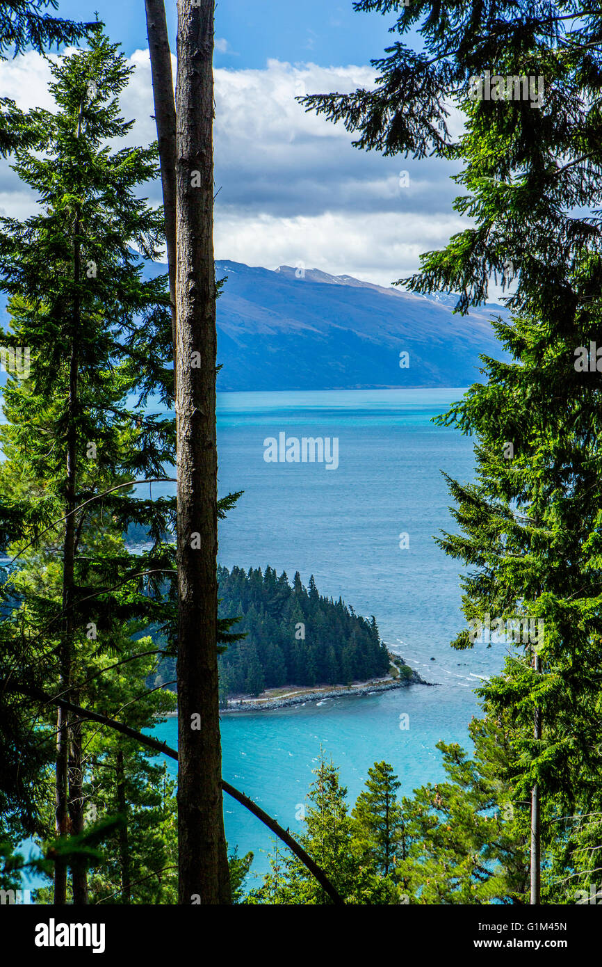 Forested island in remote lake, Queenstown, Otago, New Zealand Stock ...