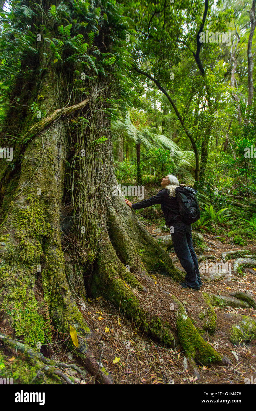 Caucasian hiker leaning on tree in forest Stock Photo - Alamy