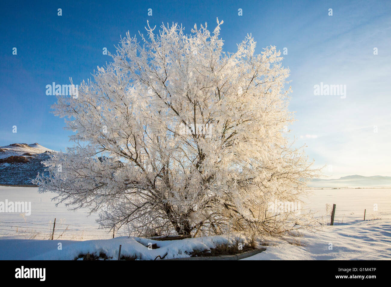 Rural landscape in snow hi-res stock photography and images - Alamy