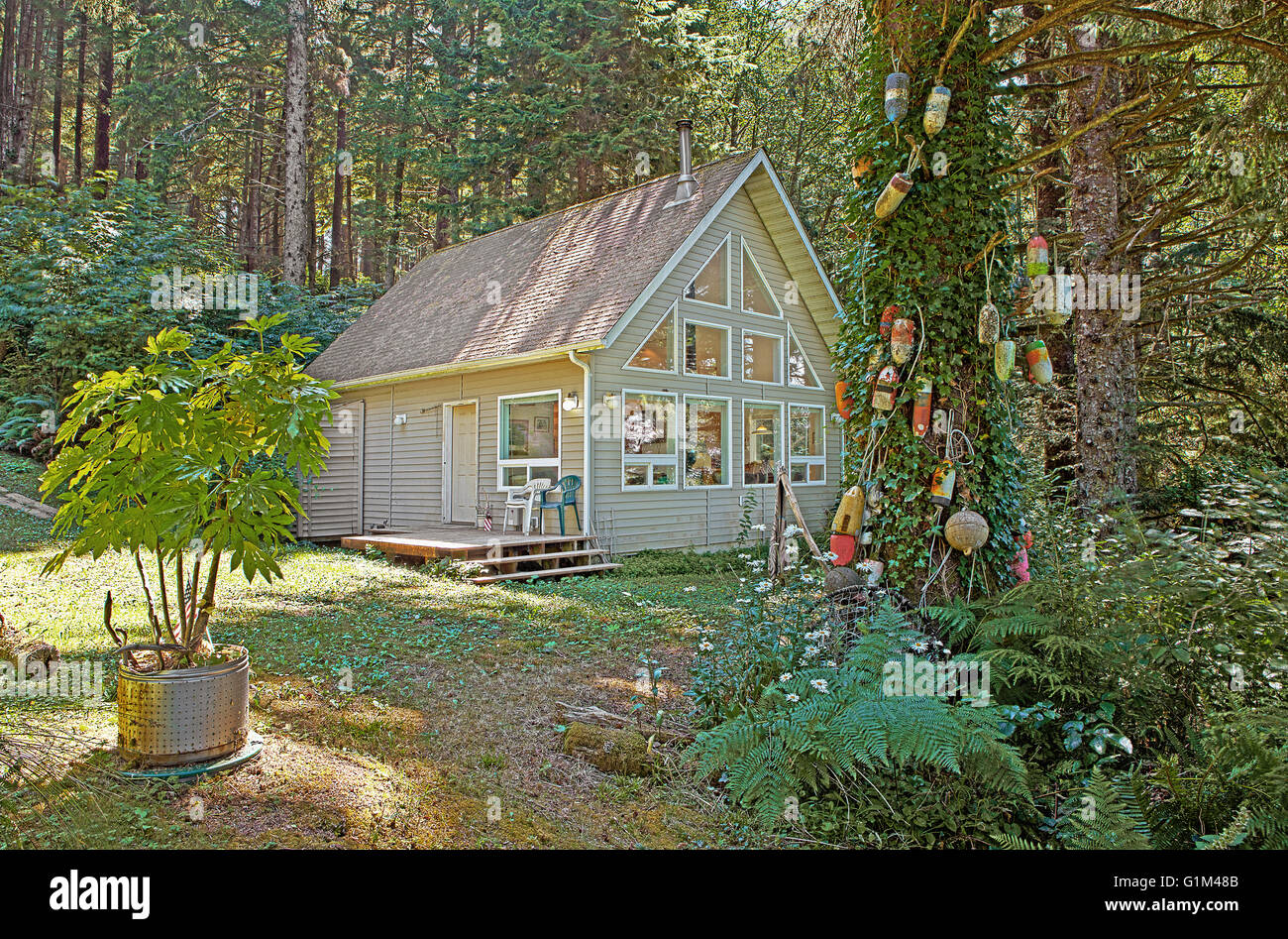 Modern house in remote forest Stock Photo - Alamy