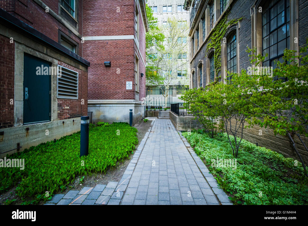 Walkway between buildings hi-res stock photography and images - Alamy